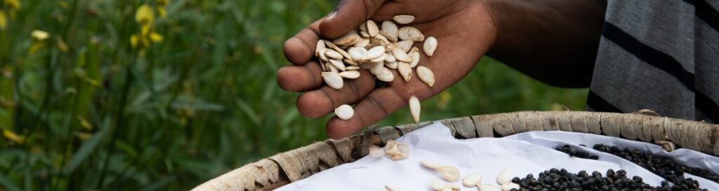 Why Saving Seeds - Learn Seed Saving