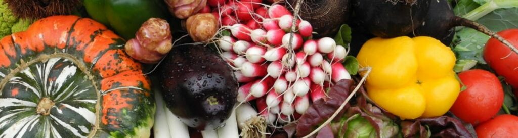 Plant Families - Learn Seed Saving